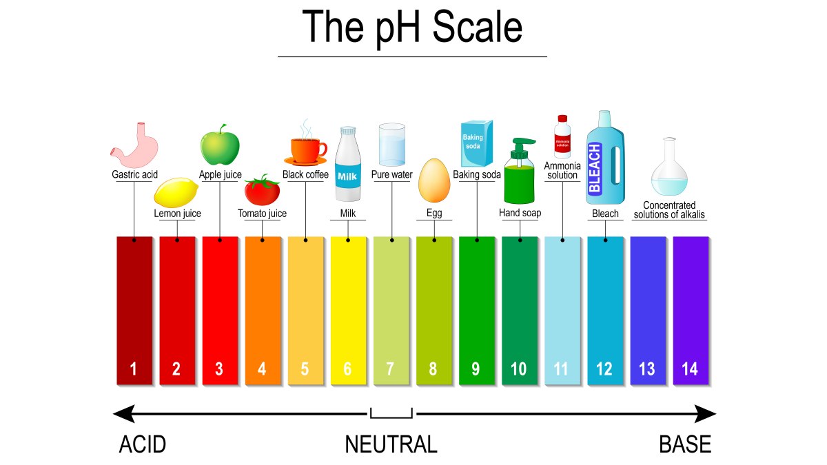 Why Is It Important To Restore The PH Level Of Hair After Coloring Why Is It Important To Restore The PH Level Of Hair After Coloring
