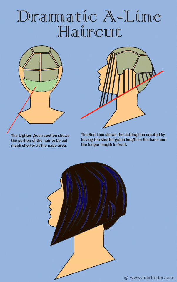 19 Bangs Haircut Diagram